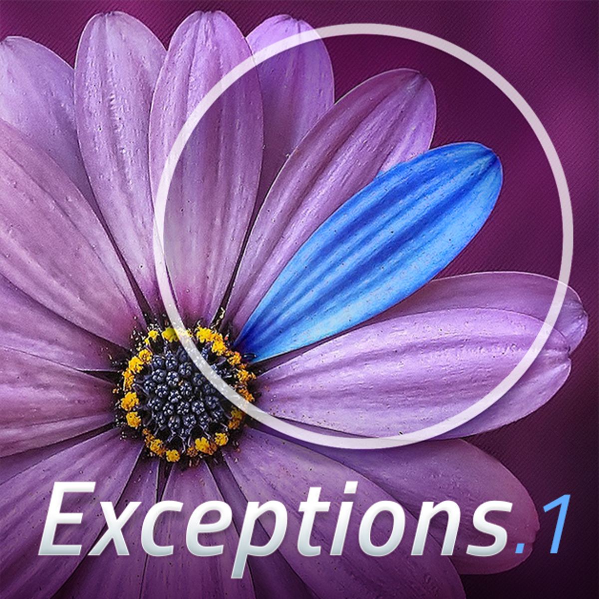 EXCEPTIONS - Play Online for Free! | Poki